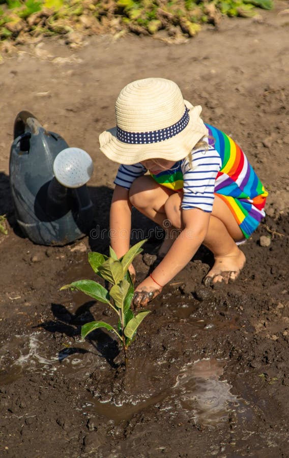 Child Planting a Tree. Selective Focus Stock Image - Image of seed ...