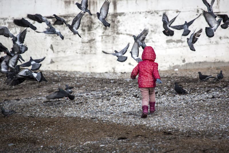 Child playing with birds stock photo. Image of lifestyle - 107419864