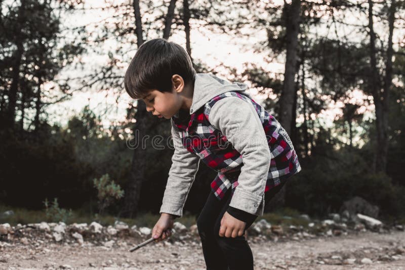 Child Playing with a Branch from a Tree in the Field. Happy Kid Playing ...