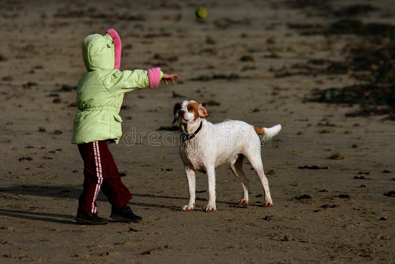 Child Playing Fetch with His Dog at the Beach Stock Image - Image of ...