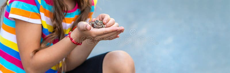 The Child is Playing with the Frog. Selective Focus Stock Photo - Image ...