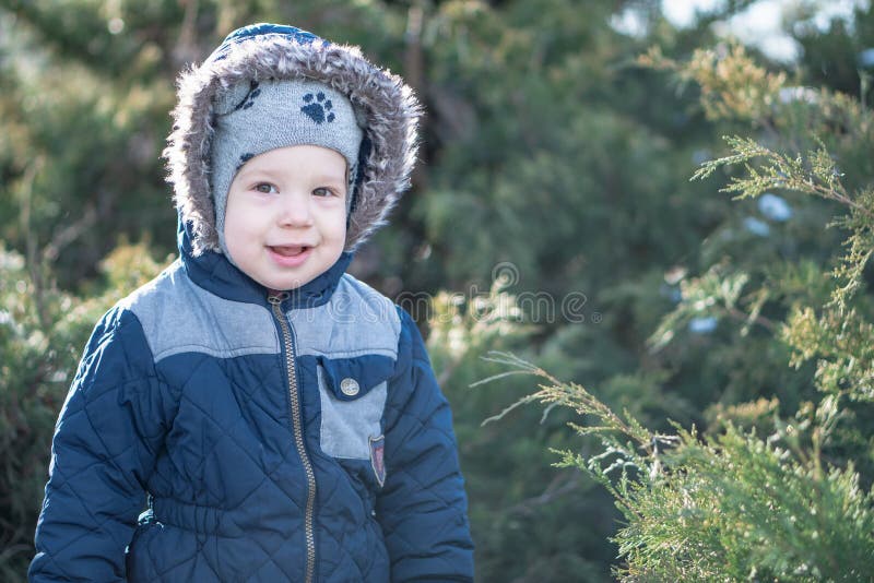 A Child Playing Hide and Seek Behind Juniper Bushes in Winter Stock ...