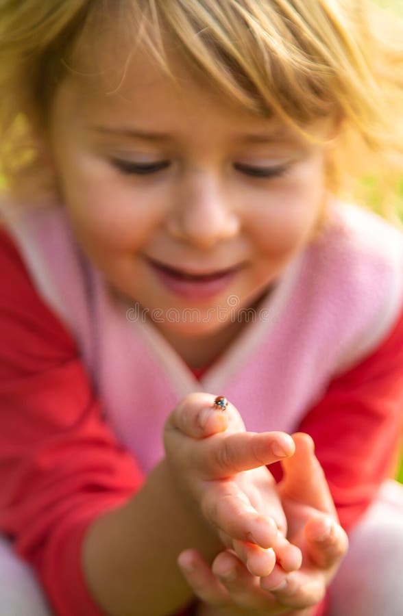 Child Playing with Ladybug. Selective Focus Stock Image - Image of skin ...