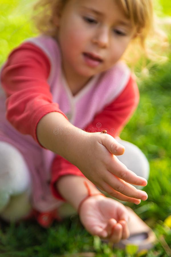 Child Playing with Ladybug. Selective Focus Stock Photo - Image of palm ...
