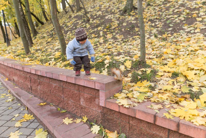 Child Playing in the Park with a Squirrel Stock Image - Image of animal ...