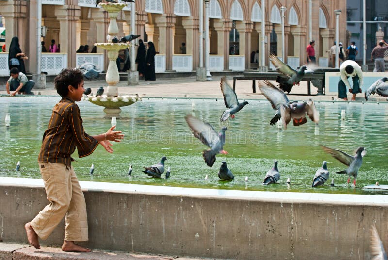 Child playing with pigeon editorial stock image. Image of playing ...