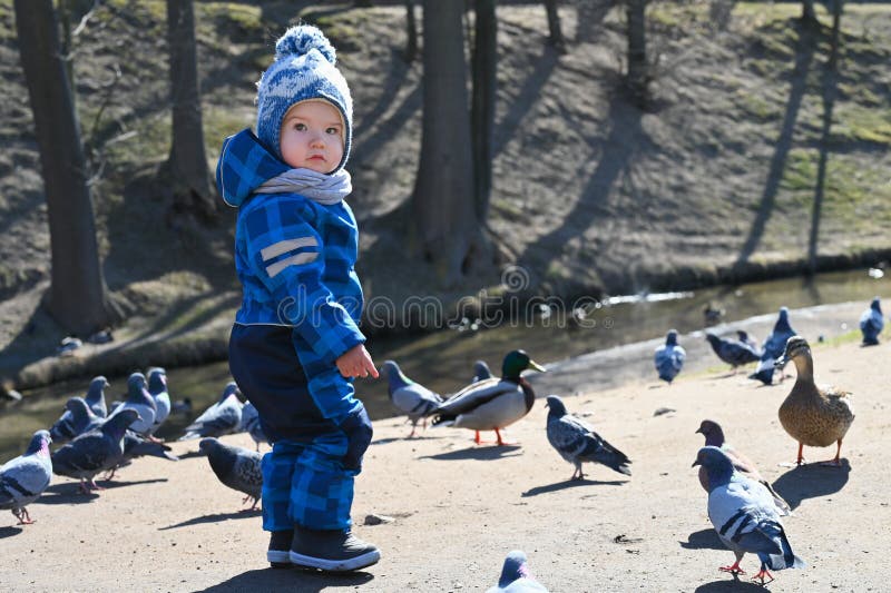 Child Plays on the Street with Pigeons. Child and Pigeons Stock Photo ...