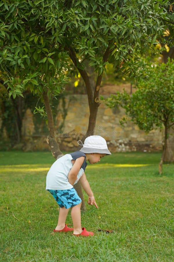 The Child Points with Interest To Something in the Grass in the Summer ...