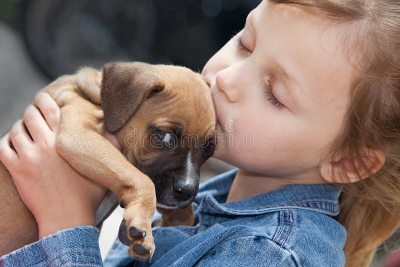 Child with pup stock image. Image of little, people, holding - 24564187