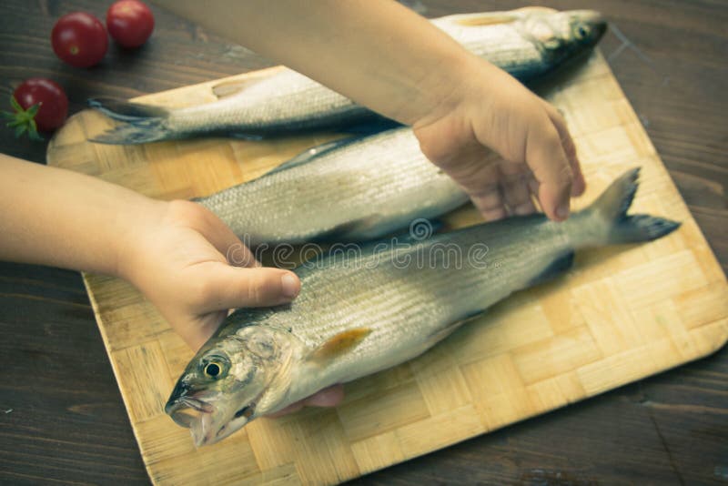 The Child Puts Fresh Fish on the Table. Fresh Fish Stock Image - Image ...
