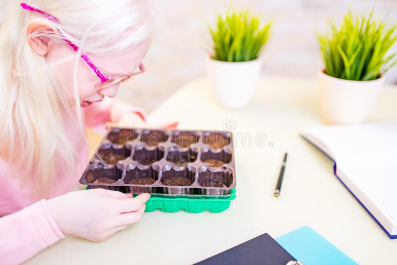 Child Putting a Seed To Plant in a Seed Growing Tray at Home Stock ...