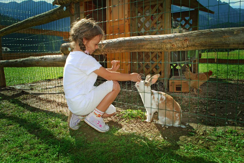 Child and rabbit stock image. Image of girl, rural, nature - 27089497