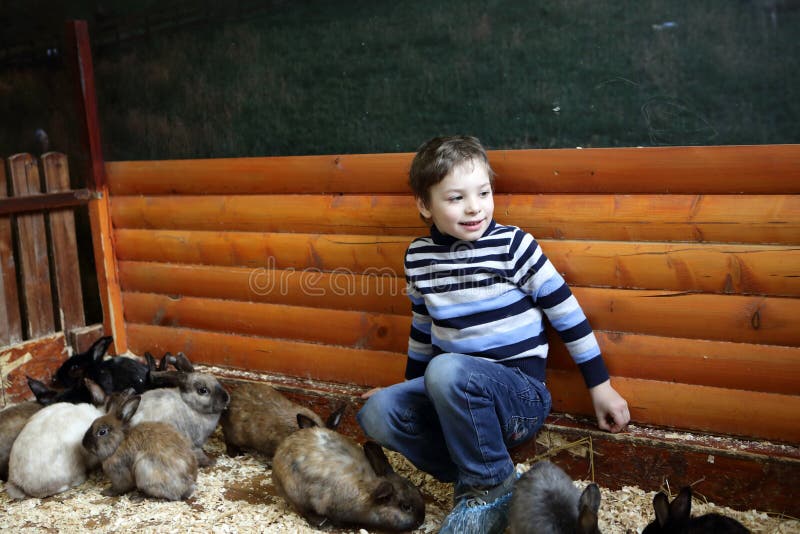 Child and rabbits stock image. Image of happy, european - 92158039
