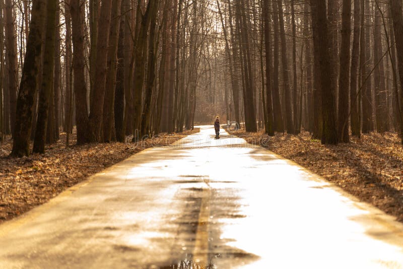 A Girl Races on a Scooter Along an Asphalt Road Stock Photo - Image of ...
