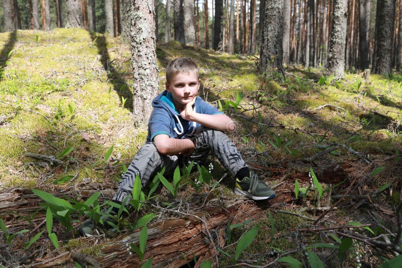 Child Resting in Pine Forest Stock Image - Image of human, child: 189221973