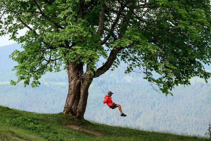 A Child Rides on a Swing High in the Mountains, a Tree and a Swing ...