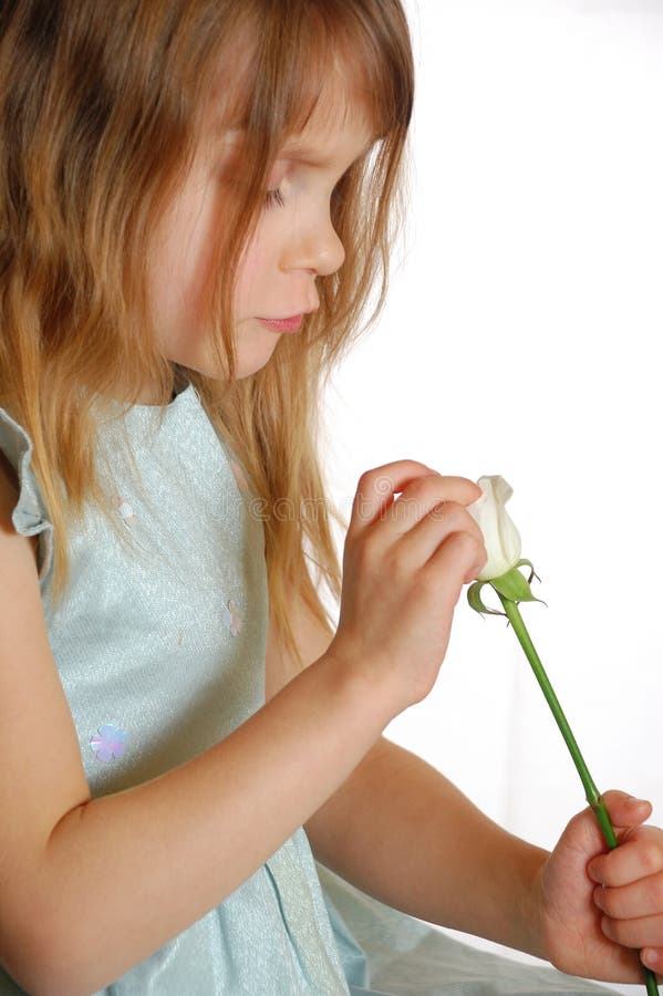Child with a rose stock photo. Image of elementary, cute - 7928400