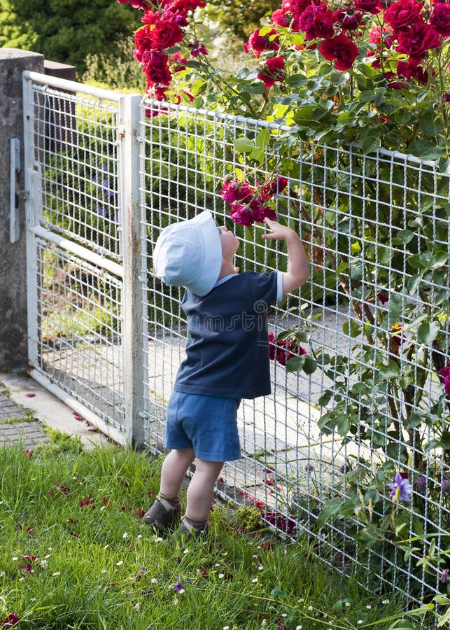 Pretty Little Girl with Bouquet of Flowers Roses. Stock Image - Image ...