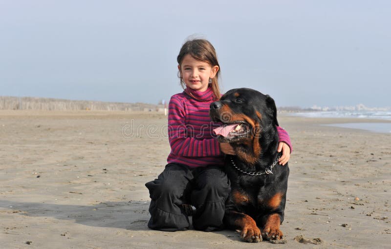 Little Girl and Rottweilers Stock Photo - Image of smiling, pedigree ...