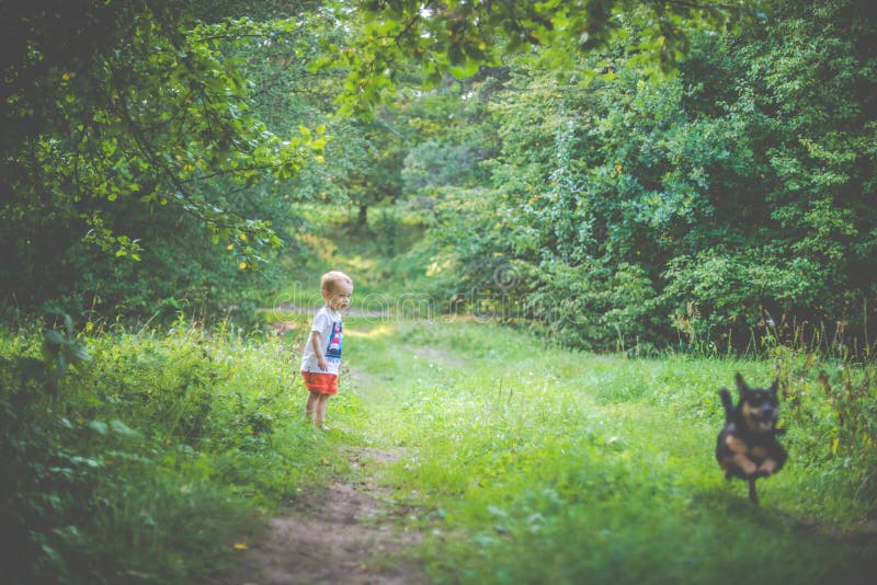 Child running with a dog stock image. Image of kind - 156617105