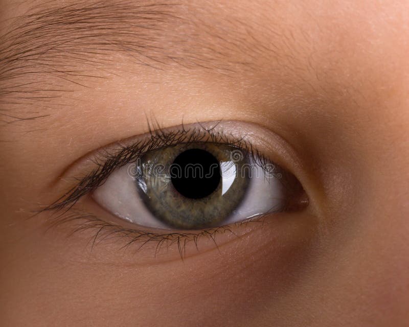 Child s eye stock image. Image of eyelash, single, childhood - 22281903
