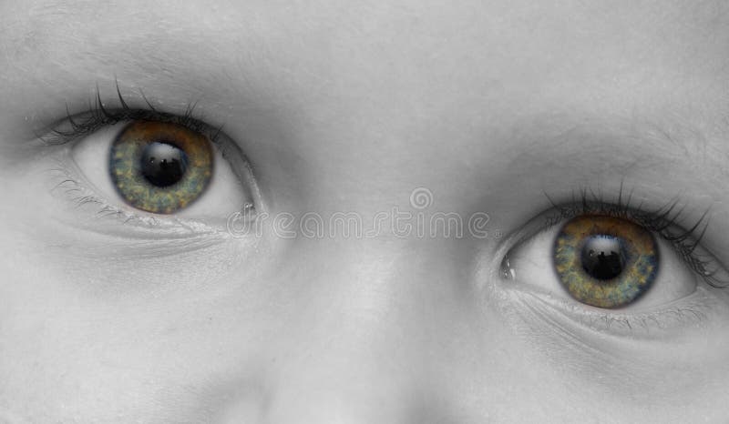 The child s eye stock image. Image of health, nature - 30706065