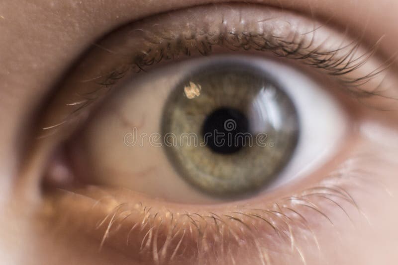 Child`s eye stock image. Image of white, beautiful, eyelash - 124618843