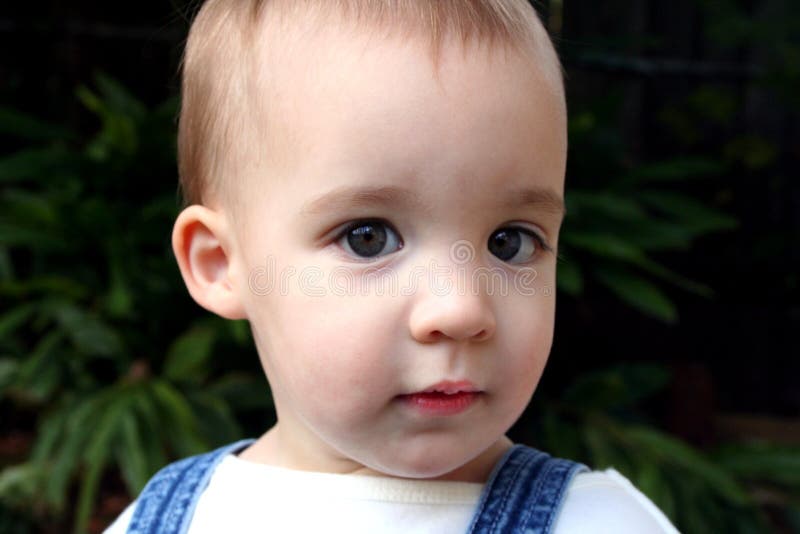 Child s Face stock photo. Image of innocent, blue, head - 8274396