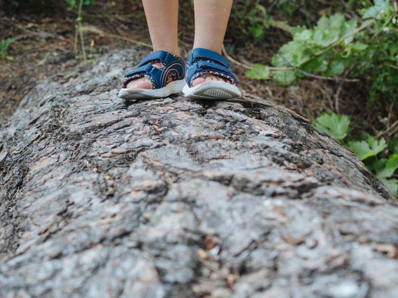 The Feet of a Child Walking on a Tree Trunk. a Healthy and Happy ...