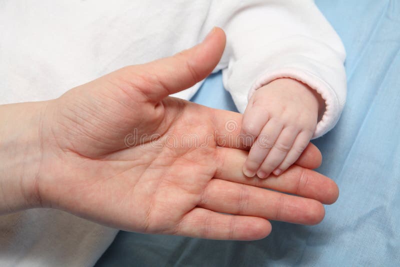 Child s hand stock photo. Image of human, loving, newborn - 12160382