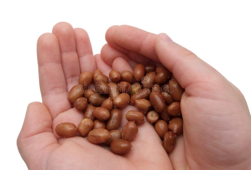 Child s hand with peanuts stock photo. Image of allergy - 12823930