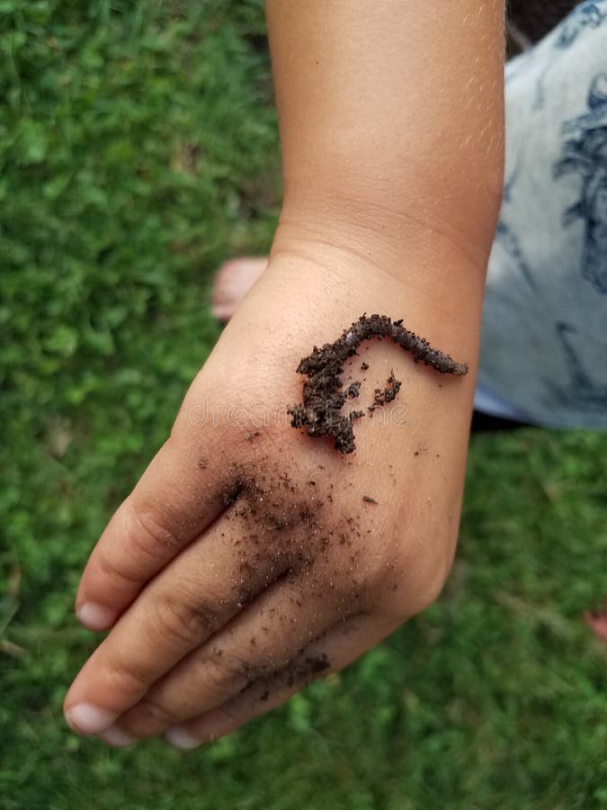 A Child`s Hand with a Worm on it Stock Photo - Image of fingers, nature ...