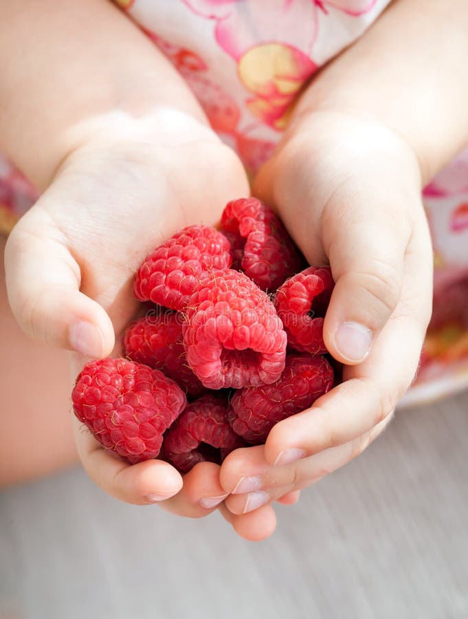 Child S Hands Holding Fresh Red Raspberries Stock Photo - Image of ...