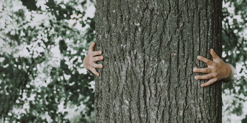 Child`s hands hugging tree stock image. Image of caucasian - 155658255