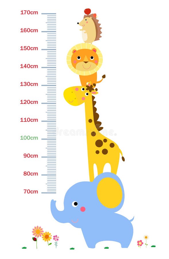 The Child`s Height Illustrations Stock Vector - Illustration of drawing ...