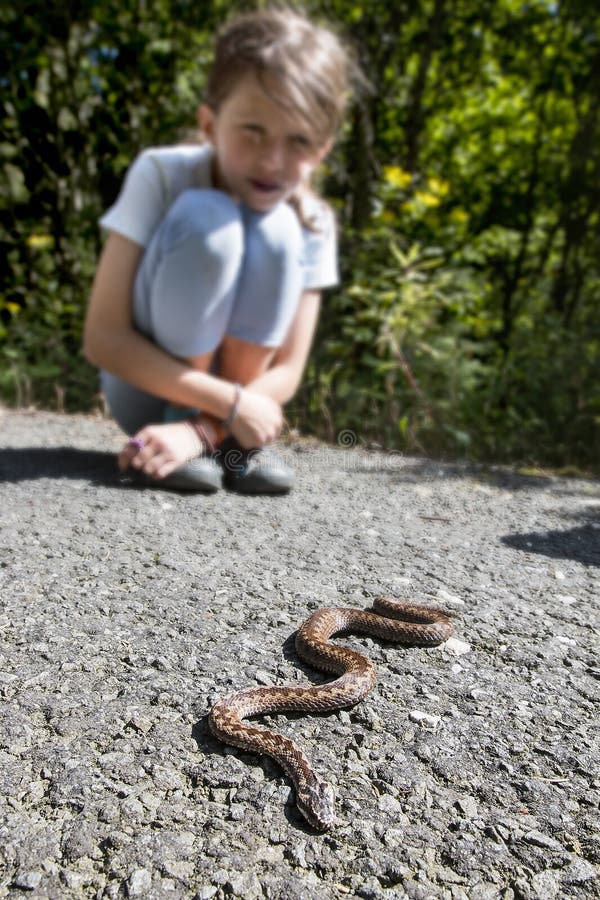 Child Snake-Charmer stock image. Image of grab, isolate - 918931