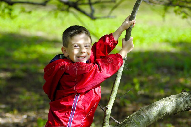 Child Sitting on a Tree stock image. Image of nature, toddler - 120051