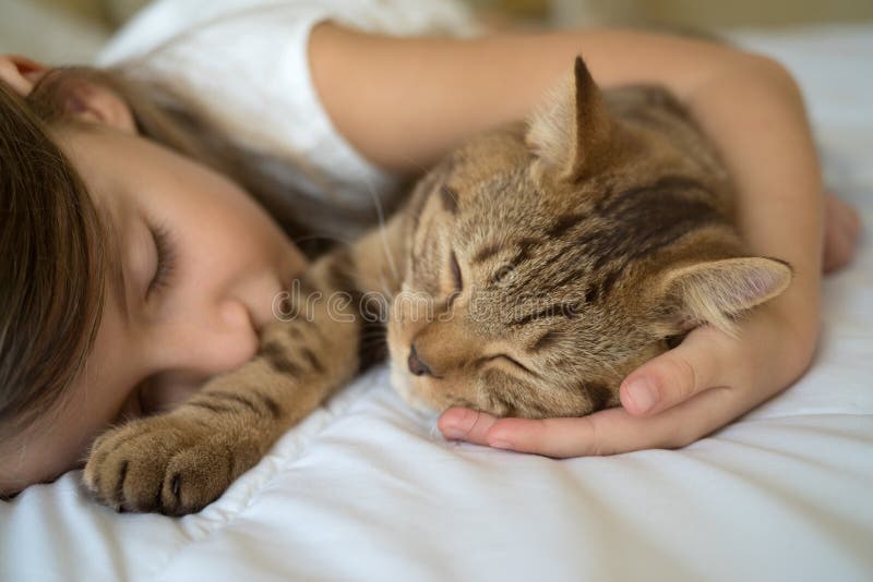 Child sleeping with cat stock photo. Image of enjoyment - 103706994