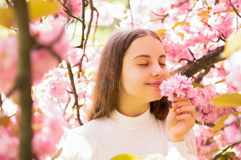 Child Smell Sakura Flower Bloom in Spring Stock Photo - Image of face ...