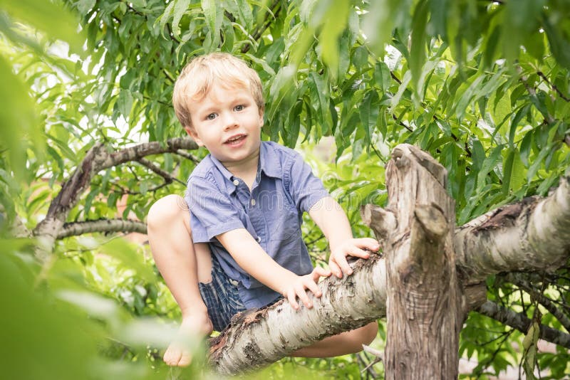 Child Smiling from a Tree stock photo. Image of garden - 55007362