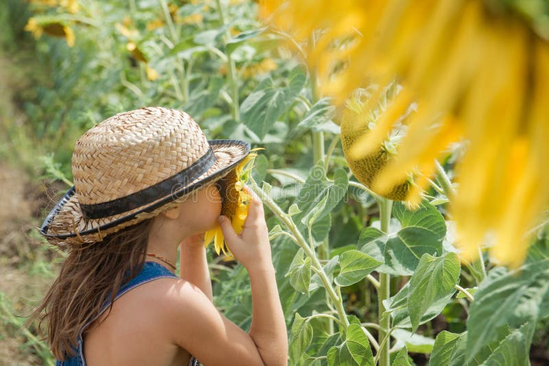 Child are Sniffing a Flower of a Sunflower Stock Photo - Image of ...