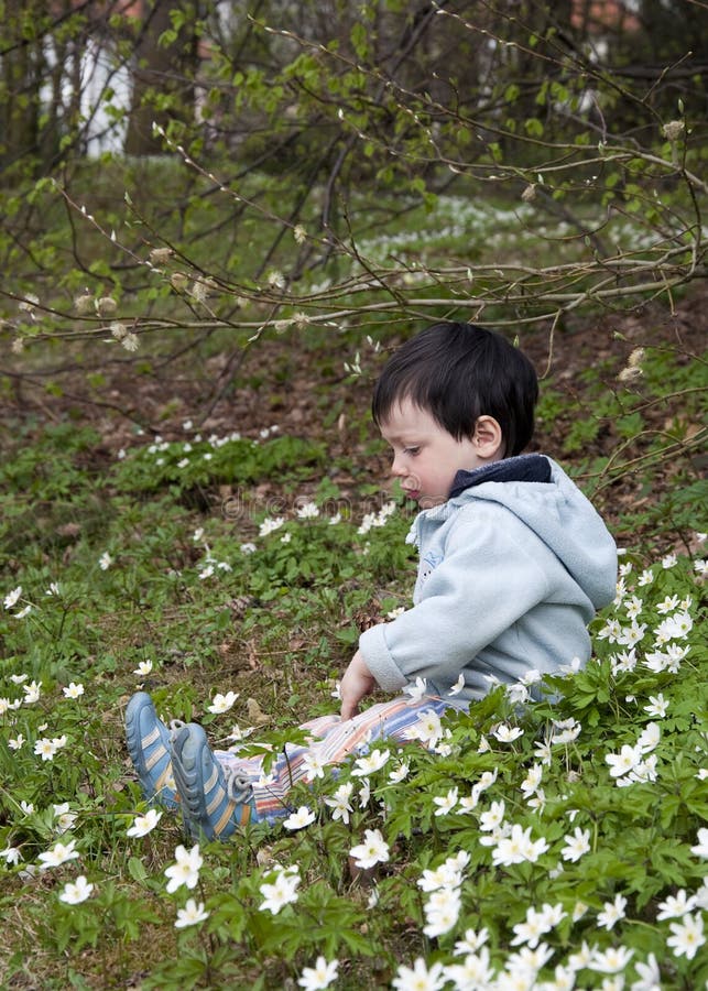 Child in spring forest stock photo. Image of outdoor - 19196944