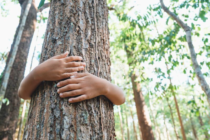 Save the Forest stock photo. Image of child, conservation - 146494594