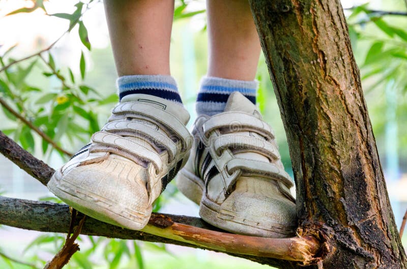 Child Standing On Tree Branch Stock Image - Image of surmount, bough ...