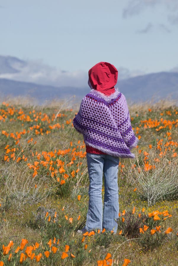 Child Standing in Field of Poppies Stock Image - Image of girl, meadow ...