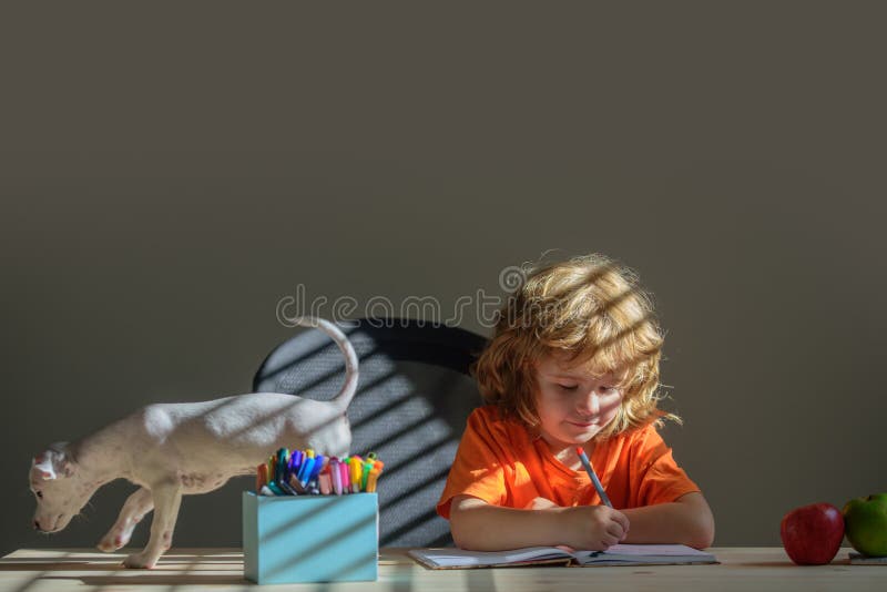 Child Studies and Learn Outside. Happy Cute School Boy Writing for ...