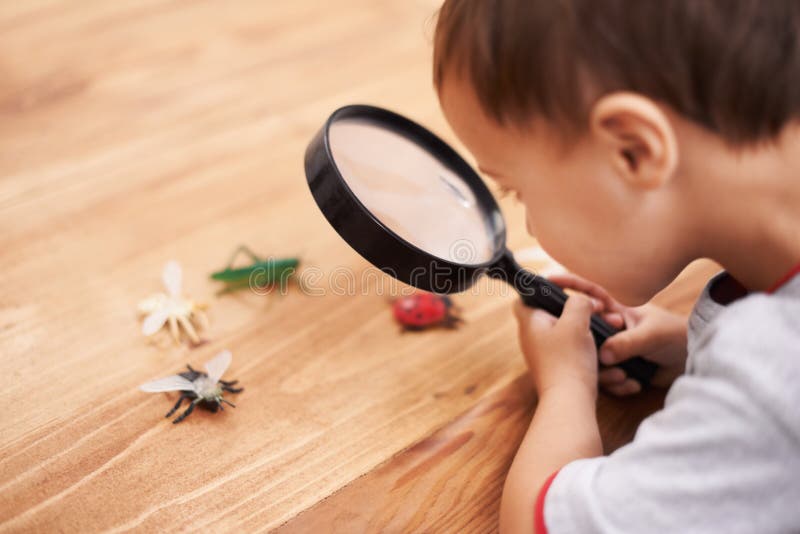 Child, Study and Learning about Insect with Magnifying Glass ...