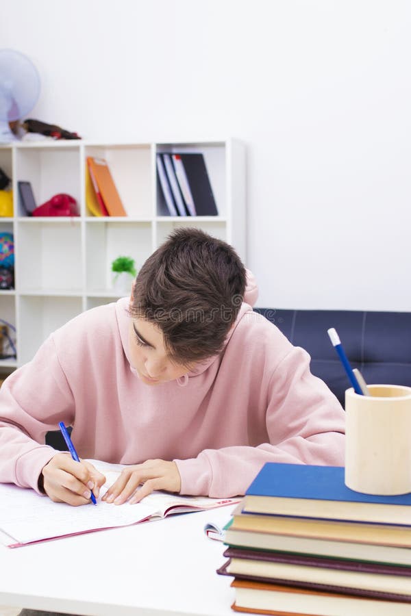 Child studying at home stock image. Image of books, evaluation - 116003773