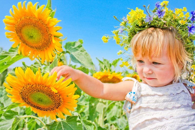 The child in sunflowers stock photo. Image of nature - 10791048