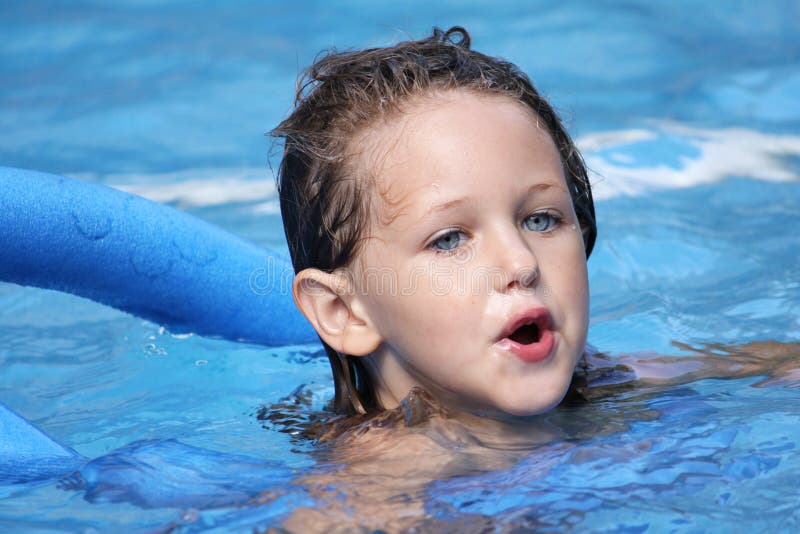 GSD in pool stock photo. Image of sunny, swimming, cheery - 32688246
